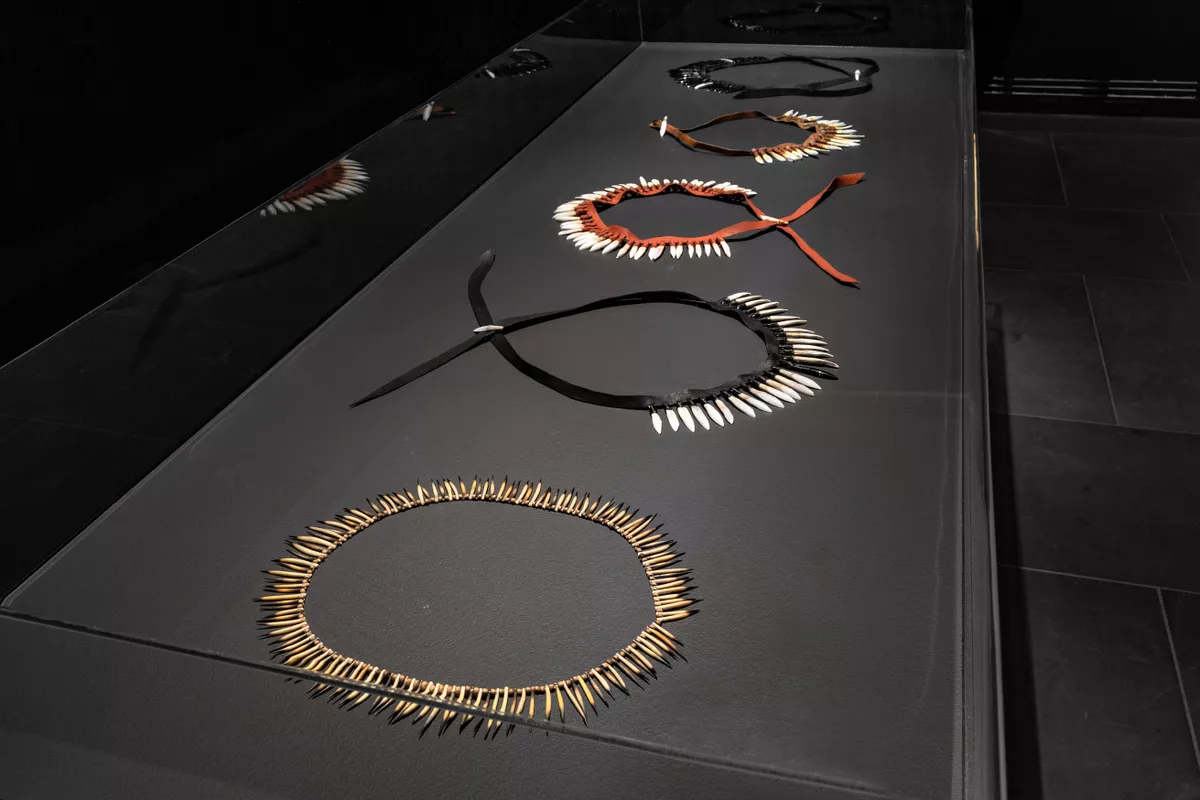 Year 2 Conservation Necklaces - Immanuel Primary School - AGSA