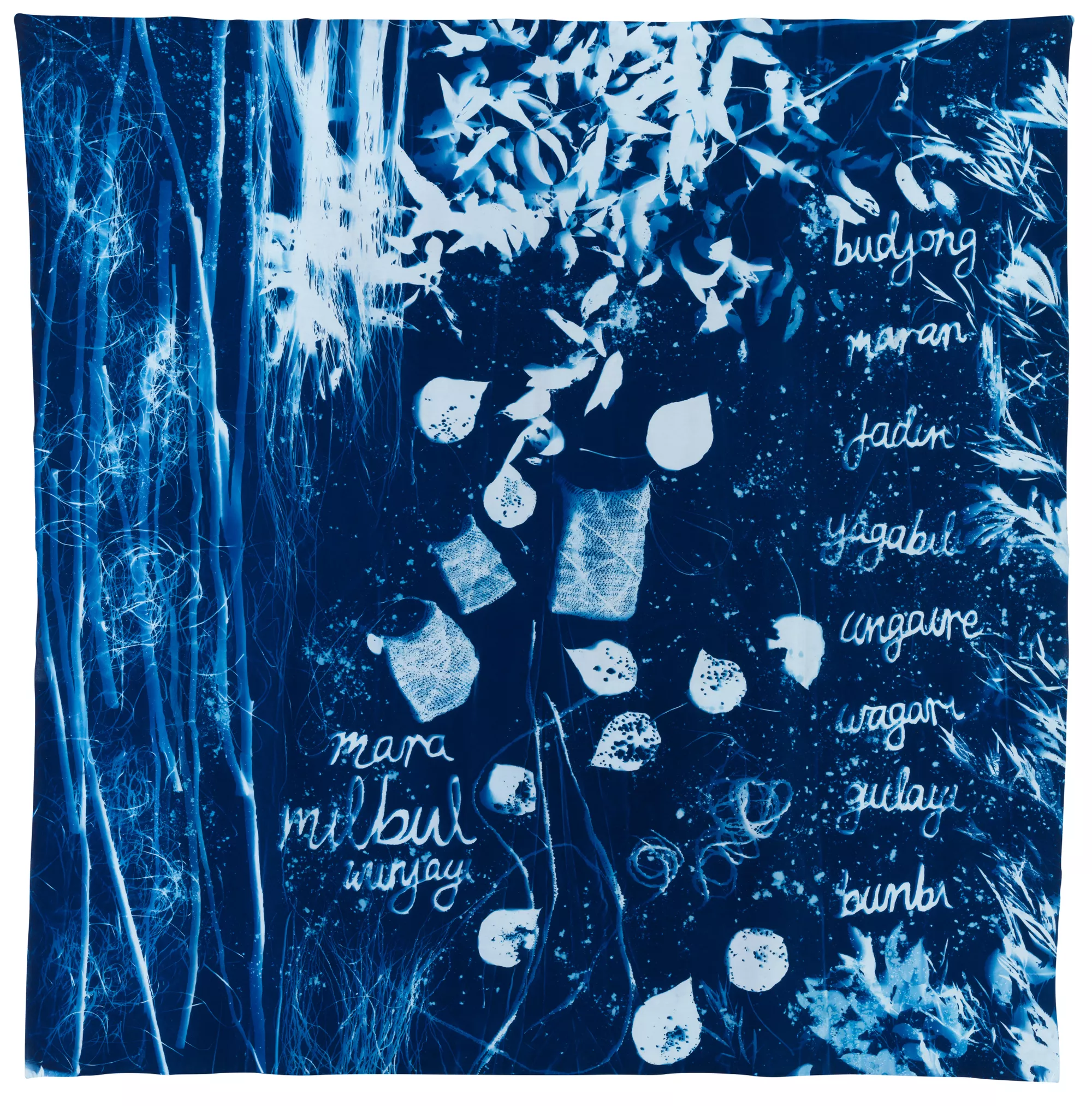 Sonja Carmichael and Elisa Jane Carmichael - AGSA