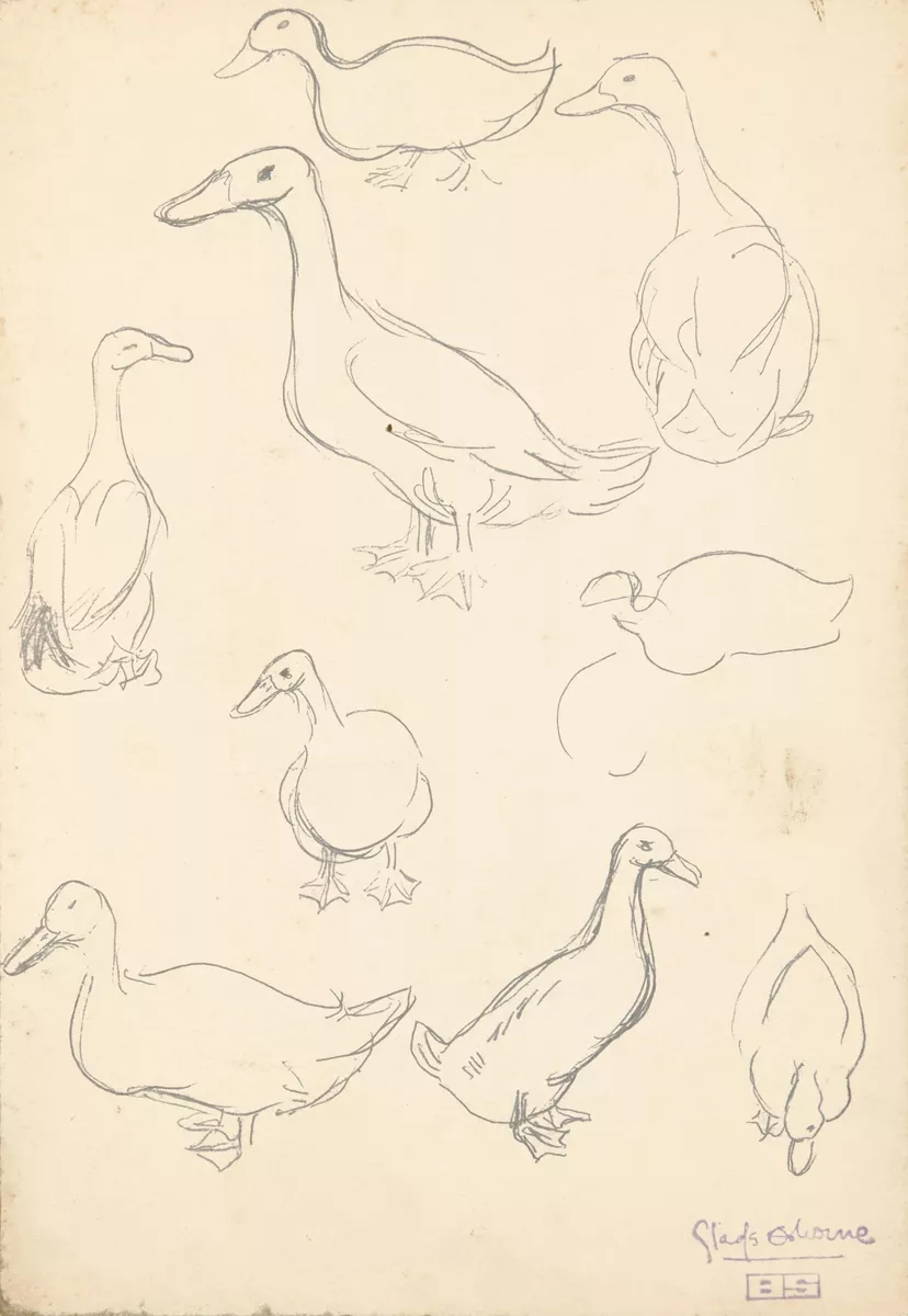 Studies of geese - AGSA Collection