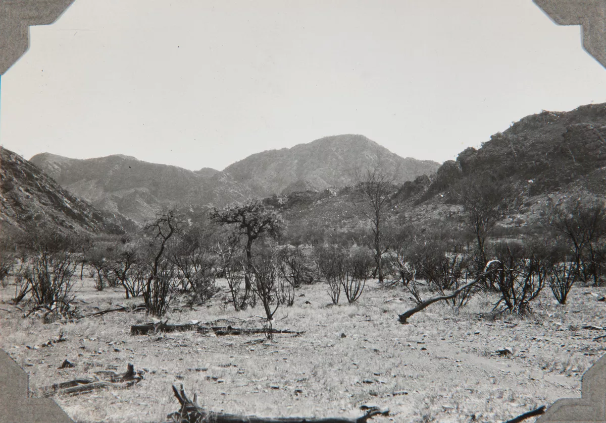 [Gall Springs] - AGSA Collection