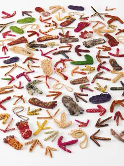 Tjanpi tjina: movement and marks - AGSA