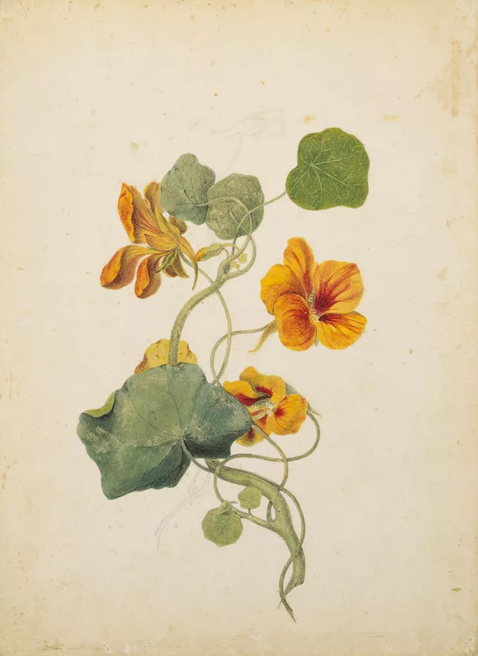 Martha Berkeley - AGSA