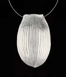 Julie Blyfield - AGSA