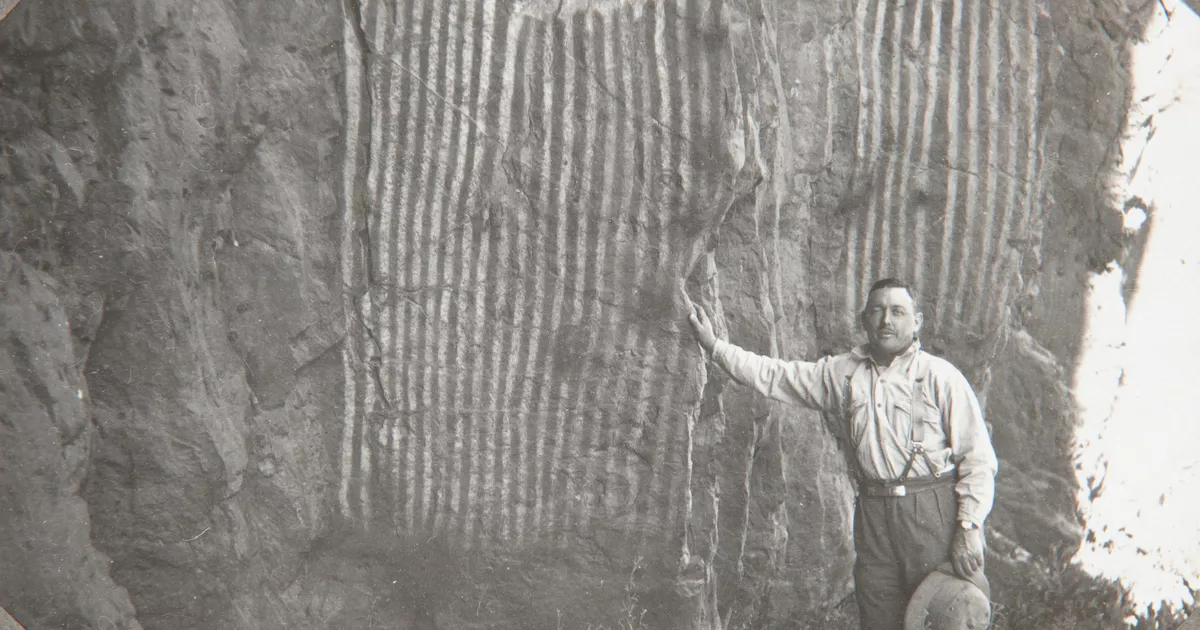 Caterpillar Dreaming. Arrernte rock art at Emily Gap, East MacDonnell ...