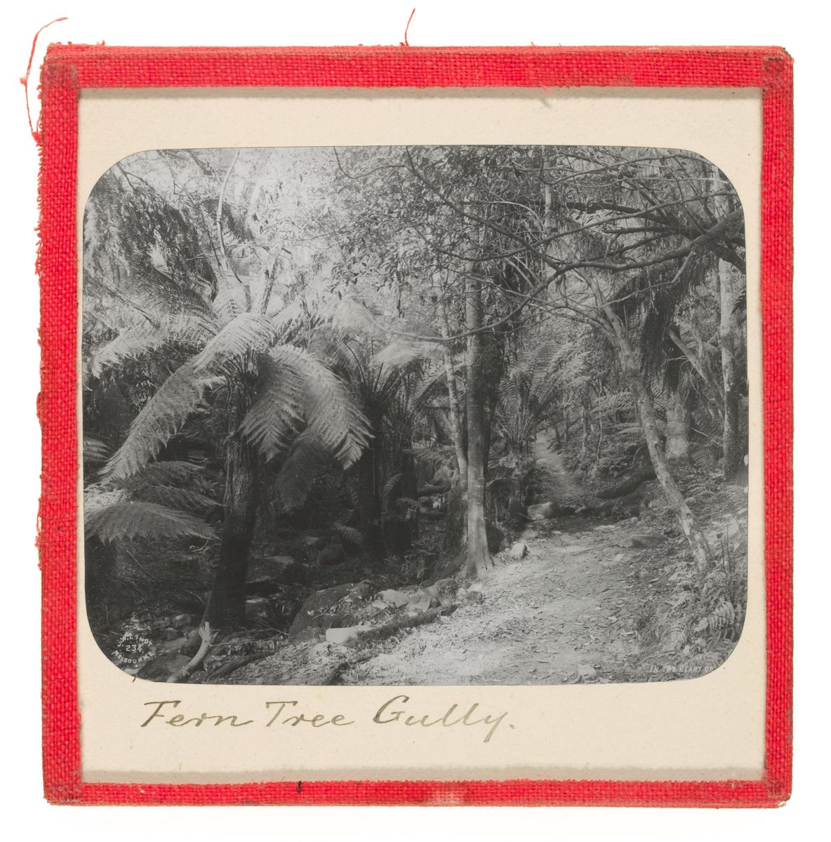 Fern Tree Gully - AGSA Collection