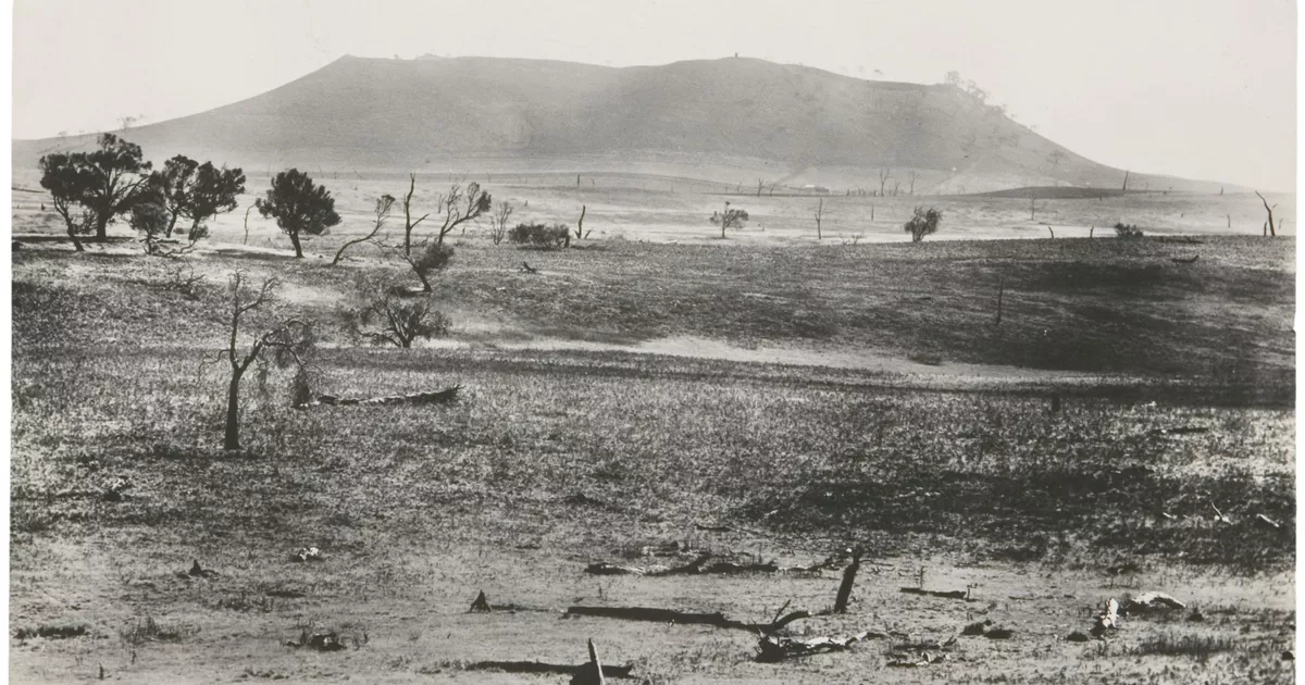 Telephoto view of Mount Schank - AGSA Collection