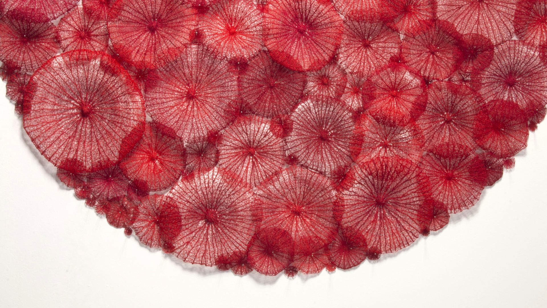 Meredith Woolnough - Australian Design Centre