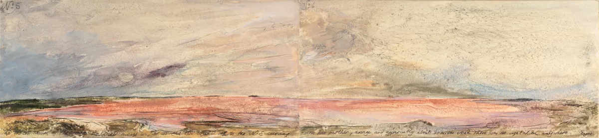 Lake Torrens Diptych - AGSA Collection