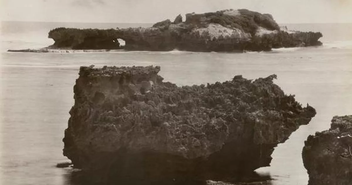 Shag Island - AGSA Collection