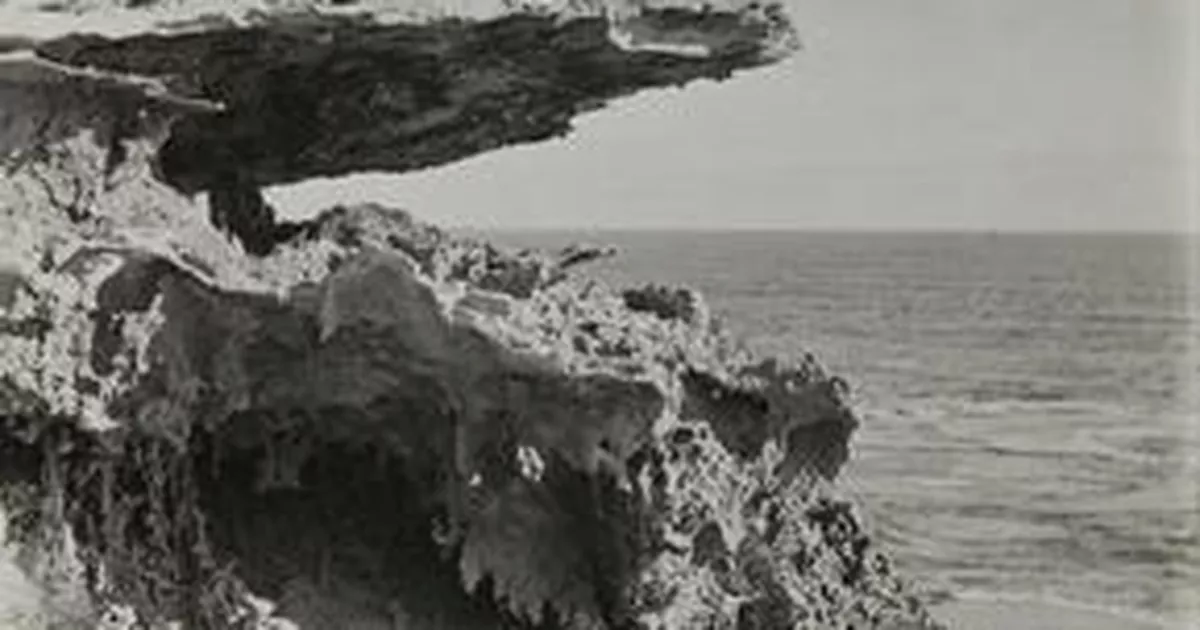 Cape Banks - AGSA Collection