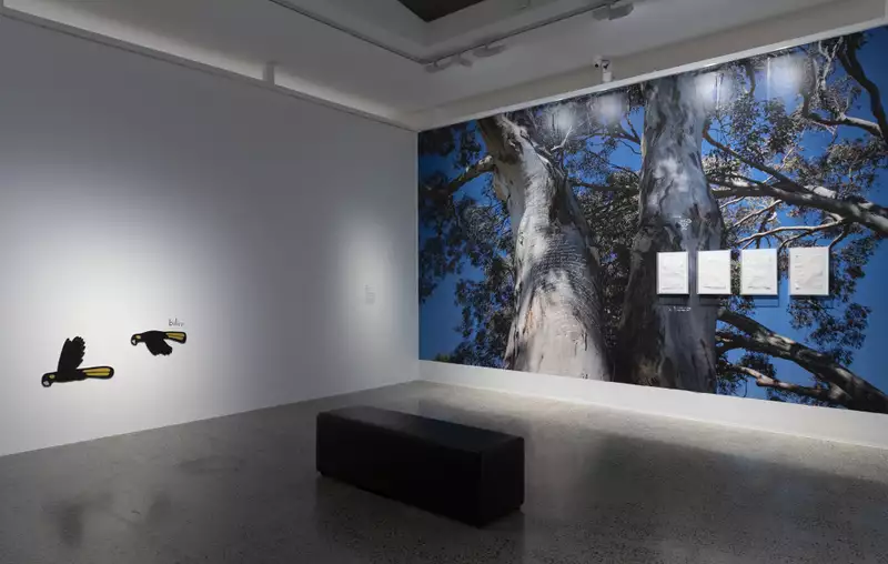 West of Central 2 - Bathurst Regional Art Gallery
