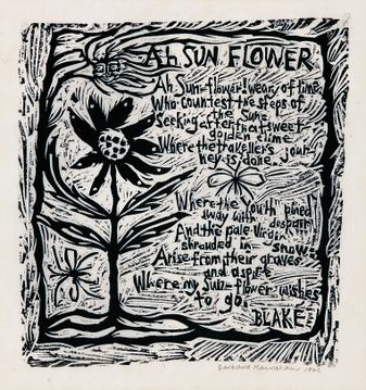 Artist in Focus: Barbara Hanrahan - AGSA