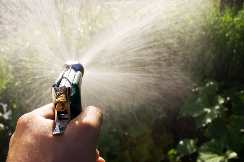 Watering - Smart Water Advice