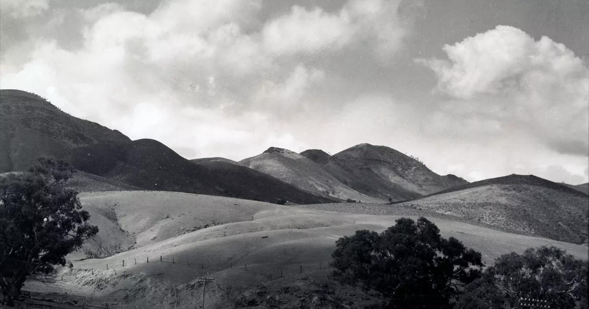 Slopes and folds of the Flinders, Horrocks Pass, S.A. - AGSA Collection