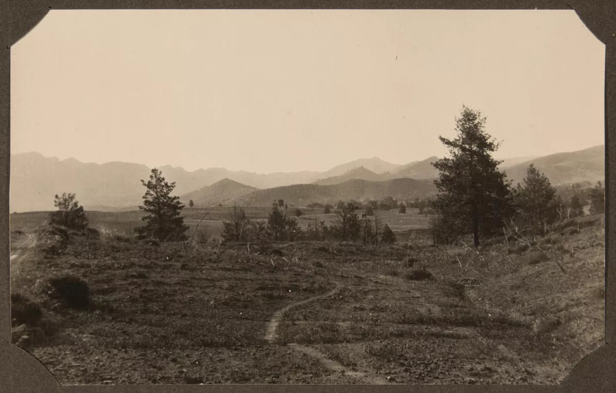 Aroona Valley - AGSA Collection