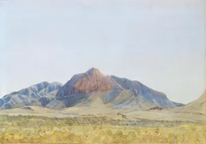 Albert (Elea) Namatjira - AGSA