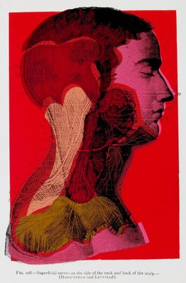 Artist in Focus: Barbara Hanrahan - AGSA