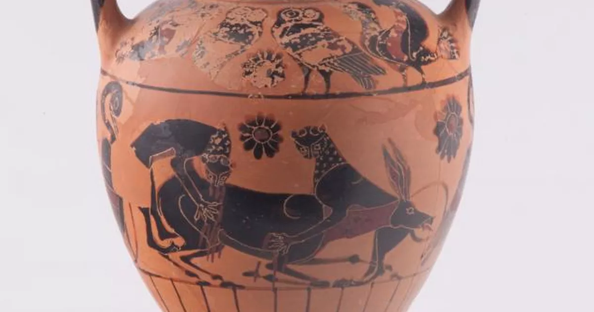 Chalcidian black figure neck amphora - AGSA Collection