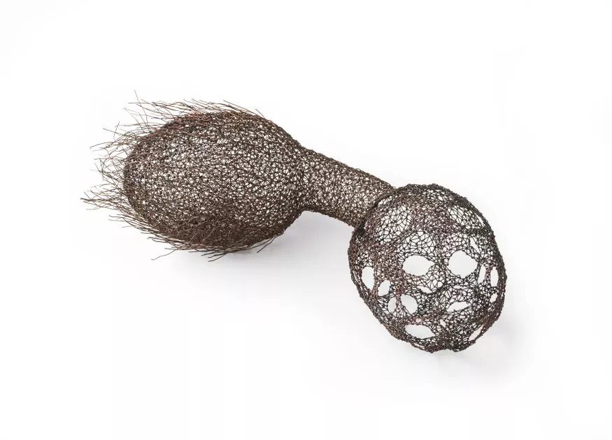 Tuesday Talk - Leigh Robb on recent acquisition 'Husk' by Bronwyn ...