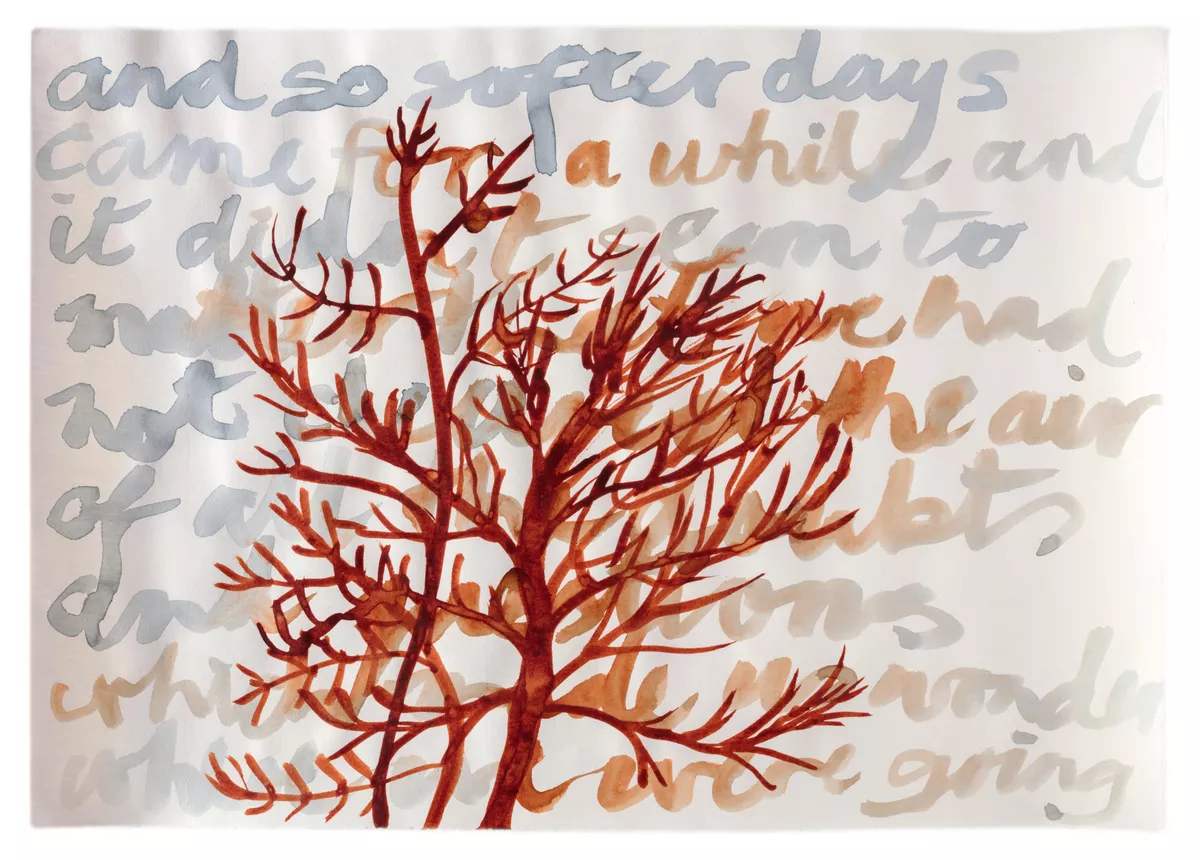 Southernwood - AGSA Collection