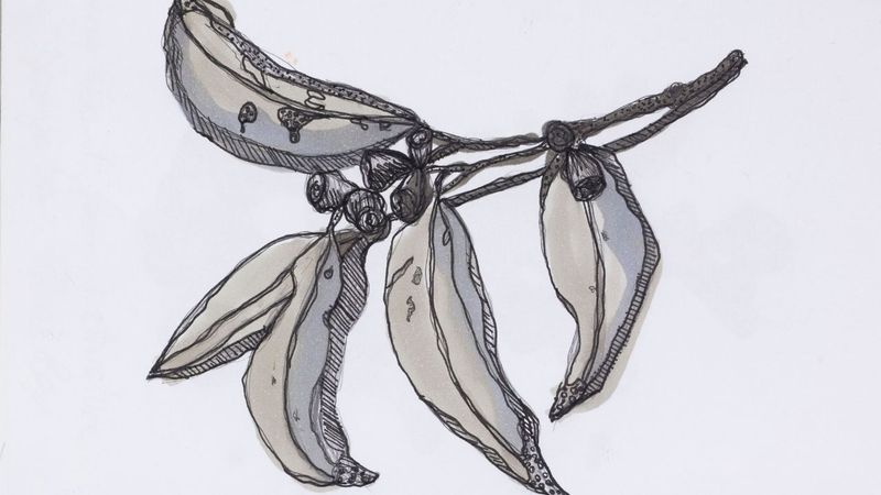 Kate Dunn - Australian Design Centre