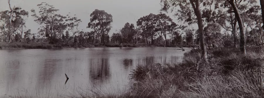 A beautiful lagoon in the swamp lands, Victoria - AGSA Collection