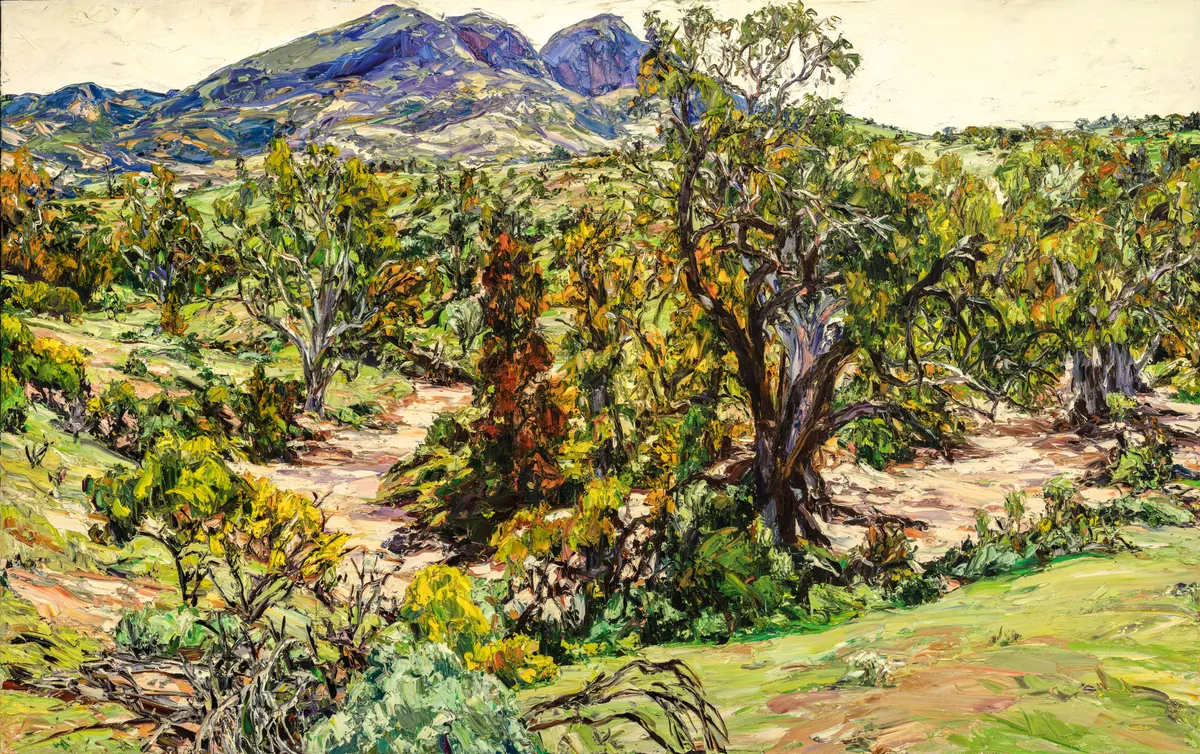 Brachina - AGSA Collection