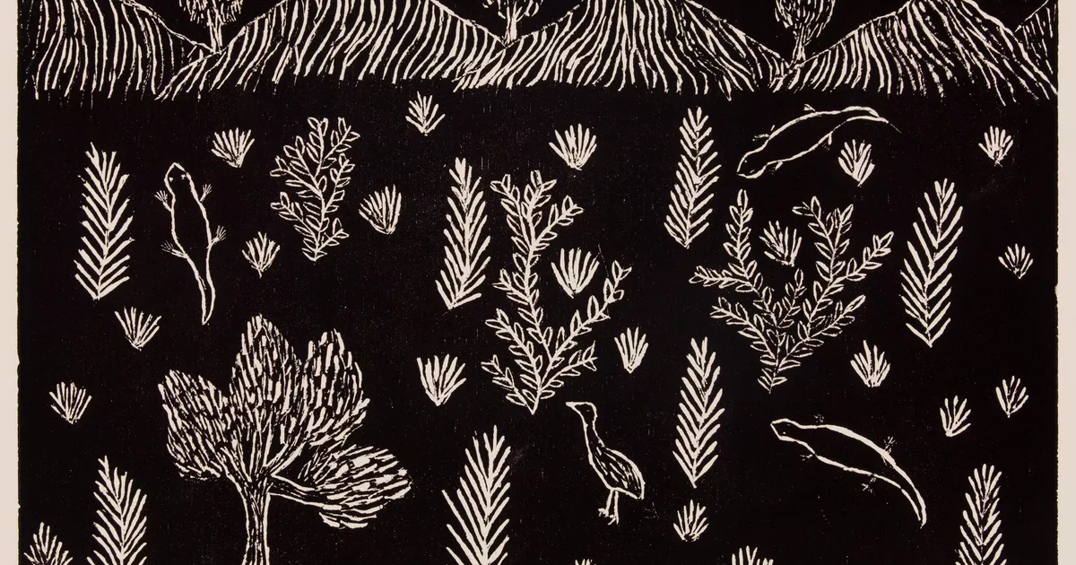 Untitled - AGSA Collection