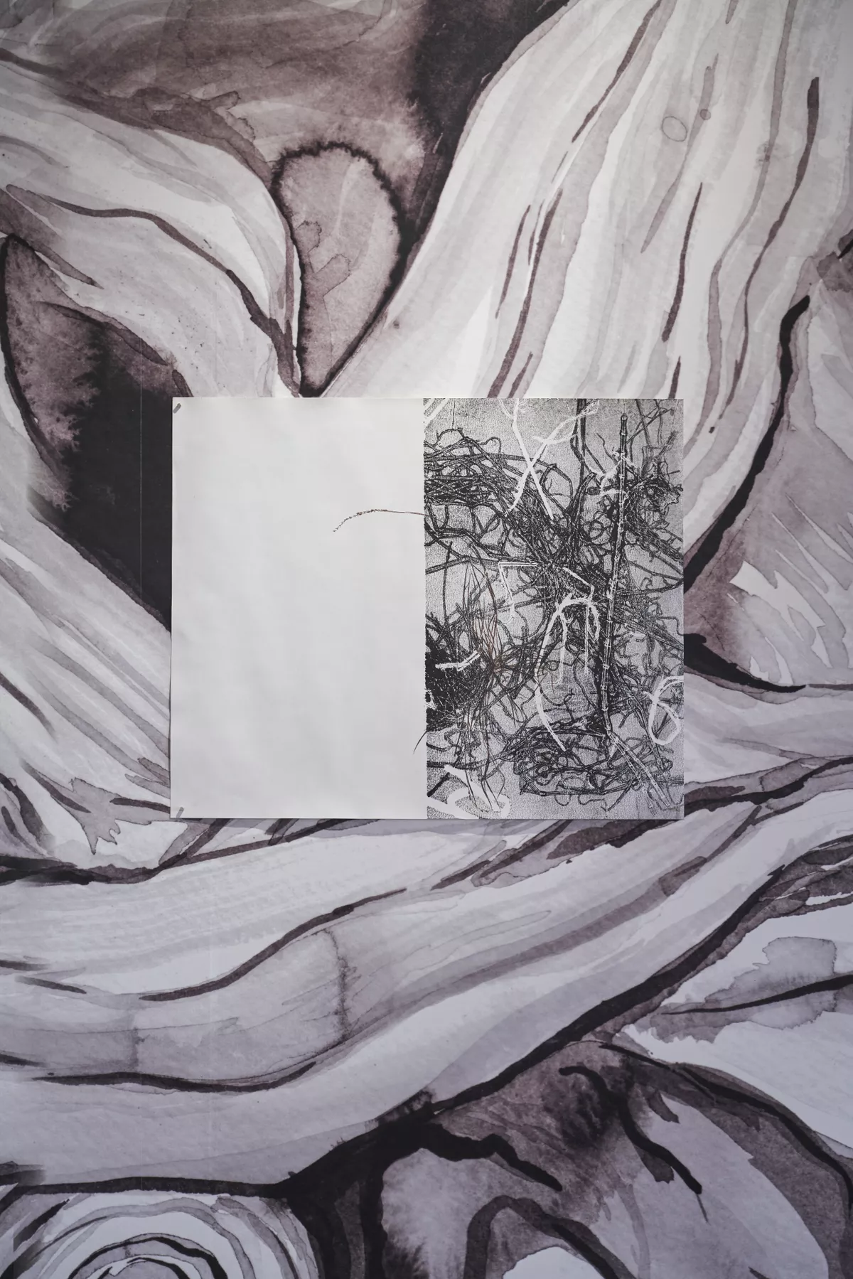 In Conversation with Bridget Currie & Maria Zagala at Carrick Hill - AGSA