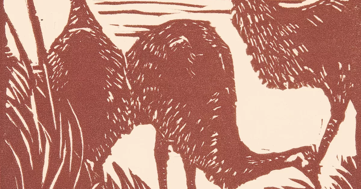 Three emus - AGSA Collection