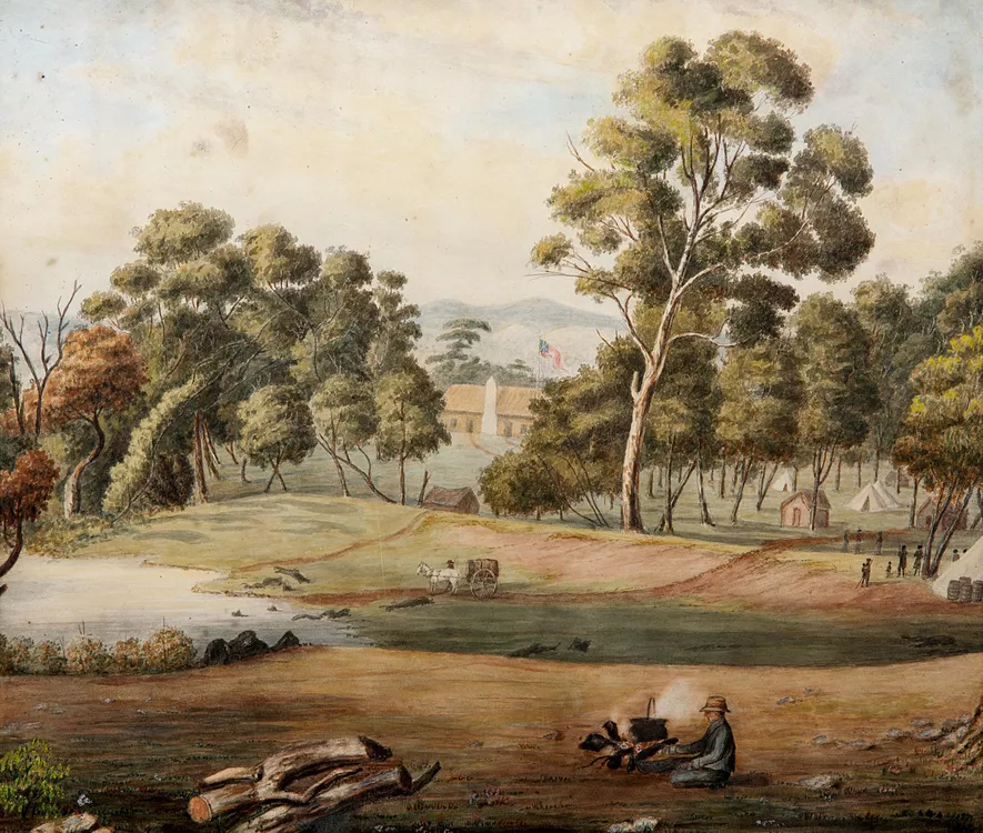 Martha Berkeley - AGSA