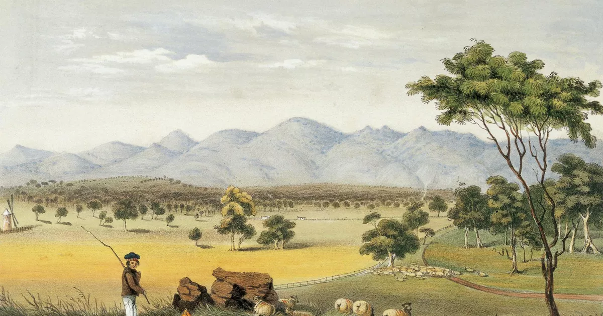 Lynedoch Valley looking towards the Barossa Range - AGSA Collection