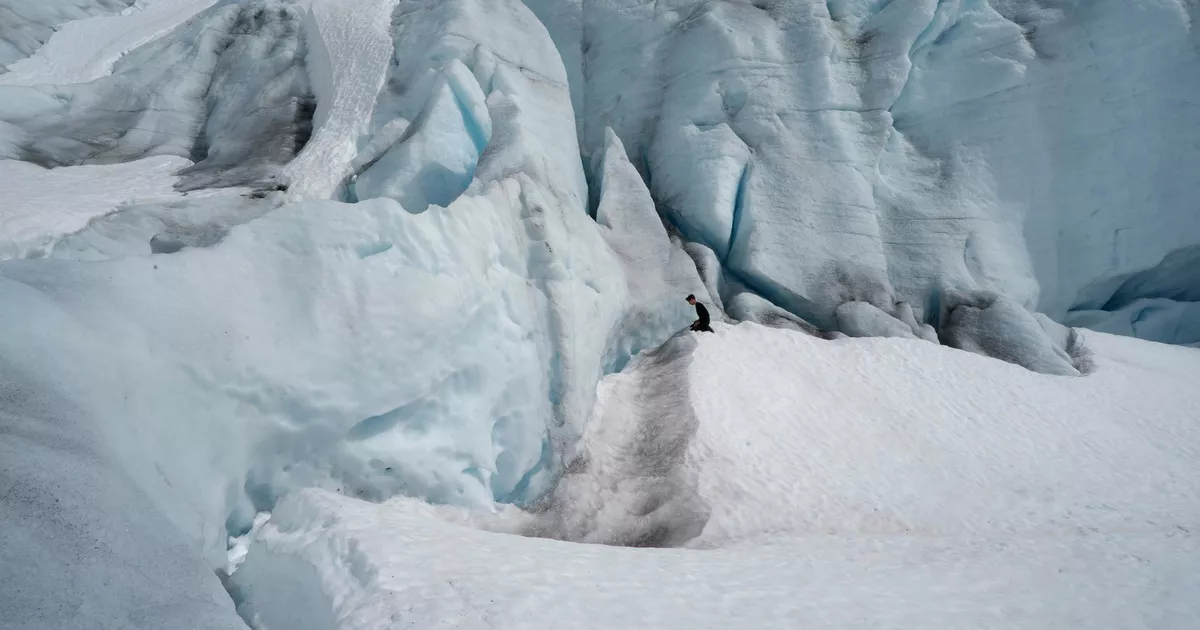 Forewarning (Act 4: Demarcation) - AGSA Collection