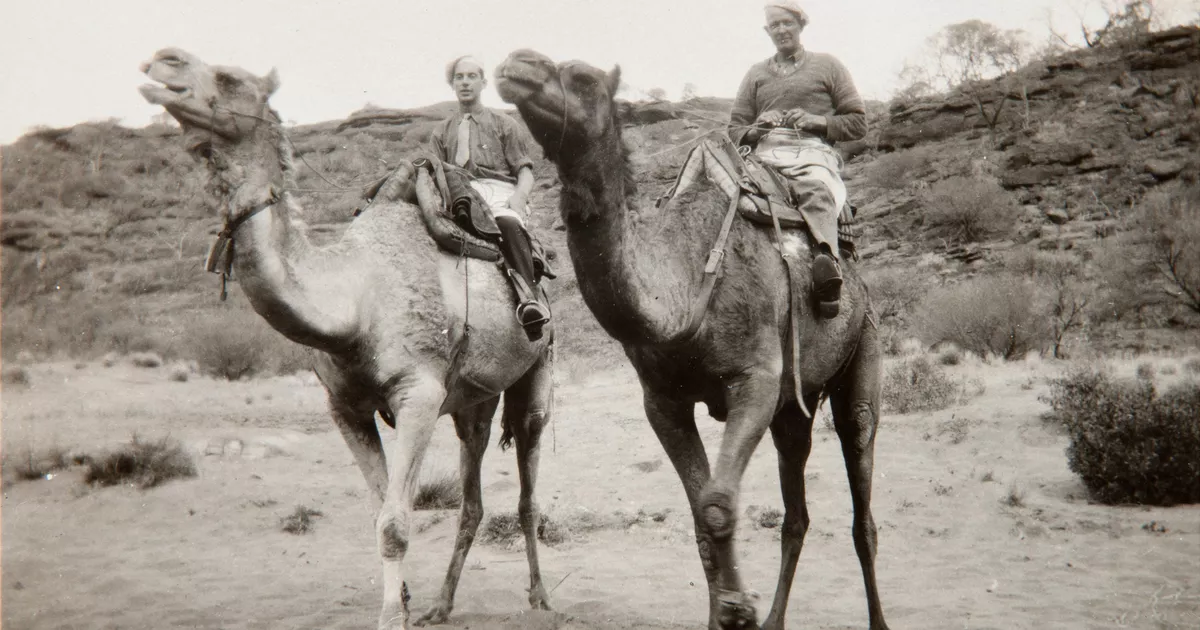 Two camels with their riders - AGSA Collection