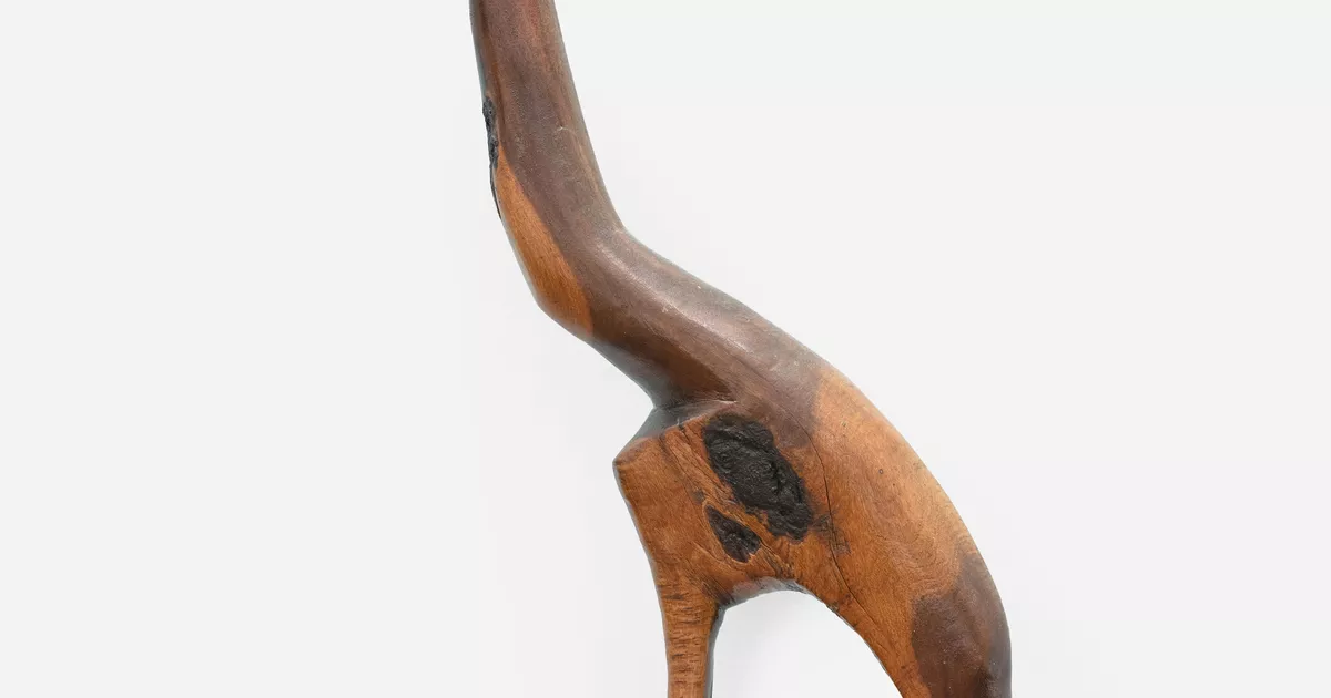 Carved emu - AGSA Collection