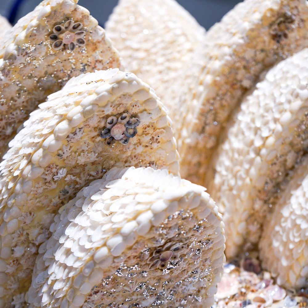 Object Space - Australian Design Centre