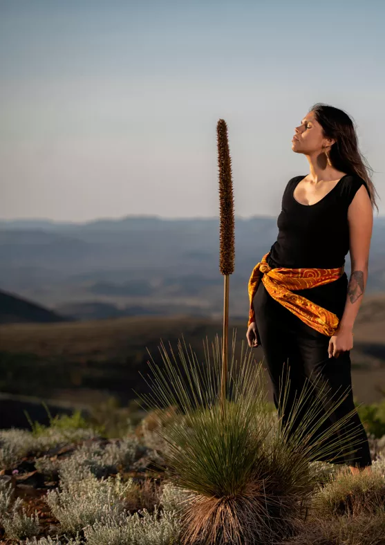 Tarnanthi - Yarta Wandatha – Story tells of Land - AGSA