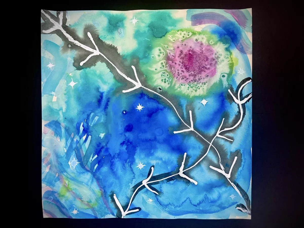 Year 10 Ink Drawings - West Moreton Anglican College - AGSA