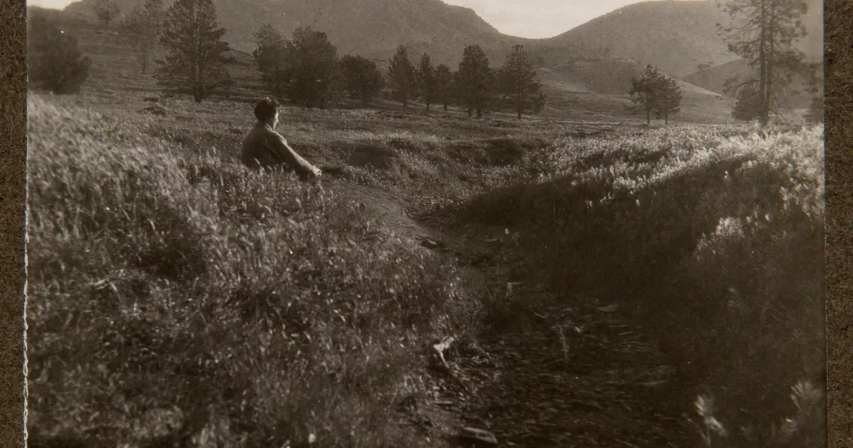 Wilpena Creek with figure - AGSA Collection