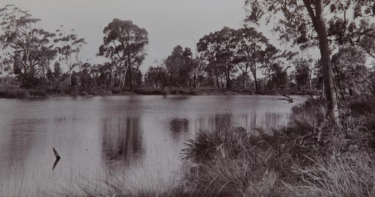 A beautiful lagoon in the swamp lands, Victoria - AGSA Collection