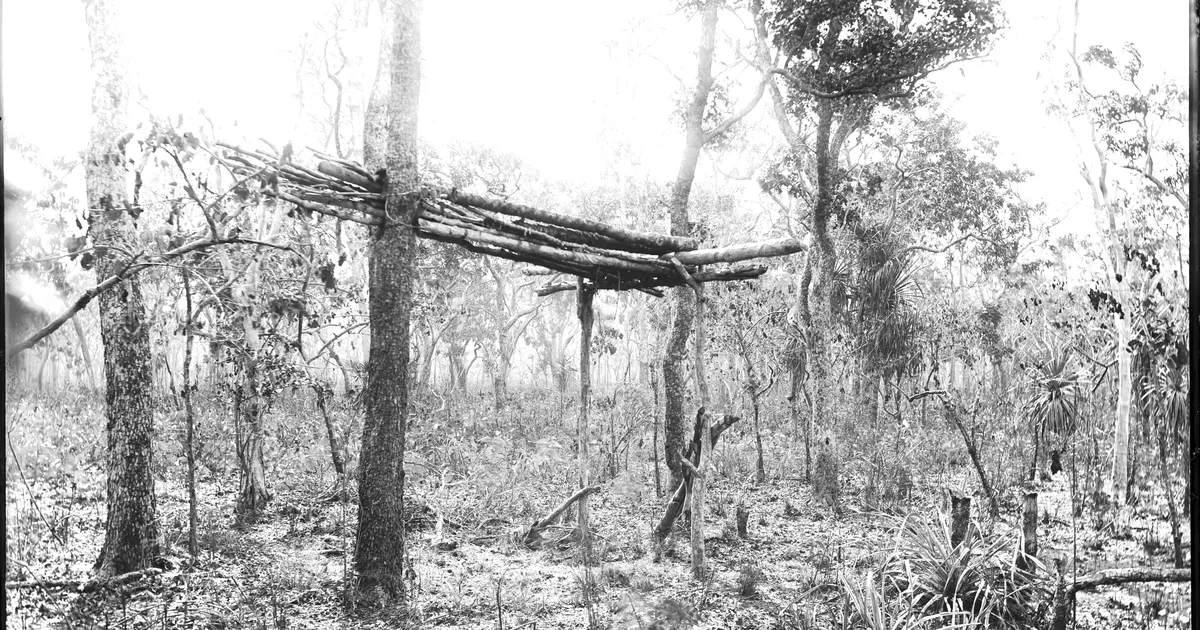 Beginnings of rudimentary structure in bush setting - AGSA Collection