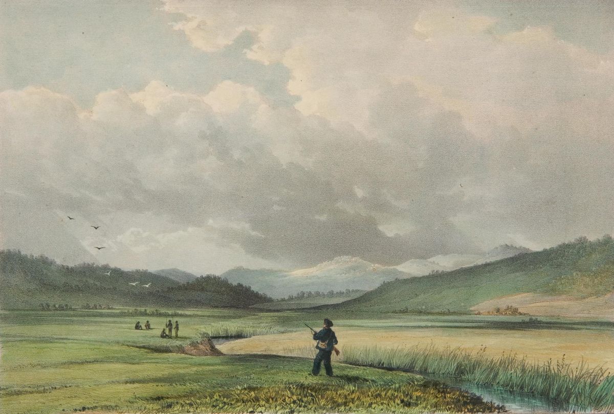 Rapid Valley, South Australia - AGSA Collection