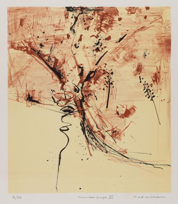 Fred Williams - AGSA