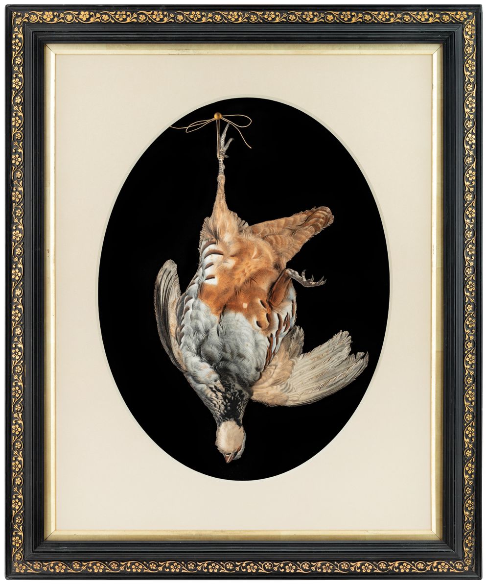 Trompe l’oeil of dead partridge - AGSA Collection