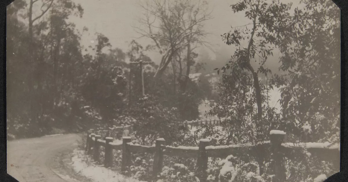 Heavy snow in the Adelaide Hills - AGSA Collection