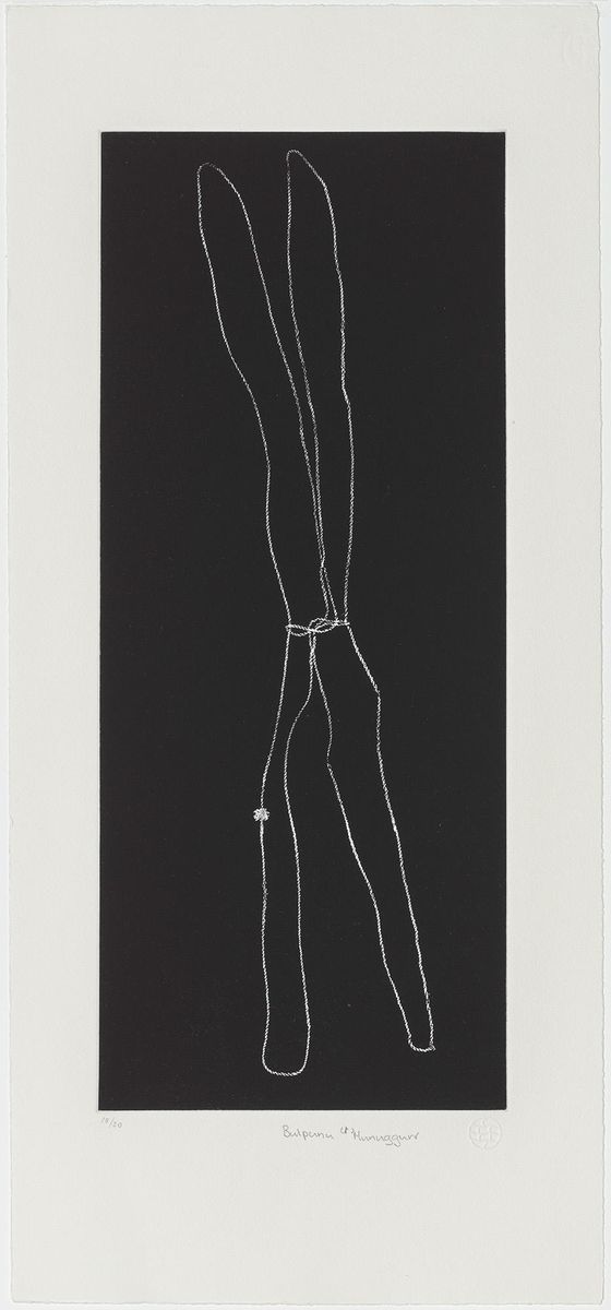 Dapal (caterpillar) - String figure - AGSA Collection