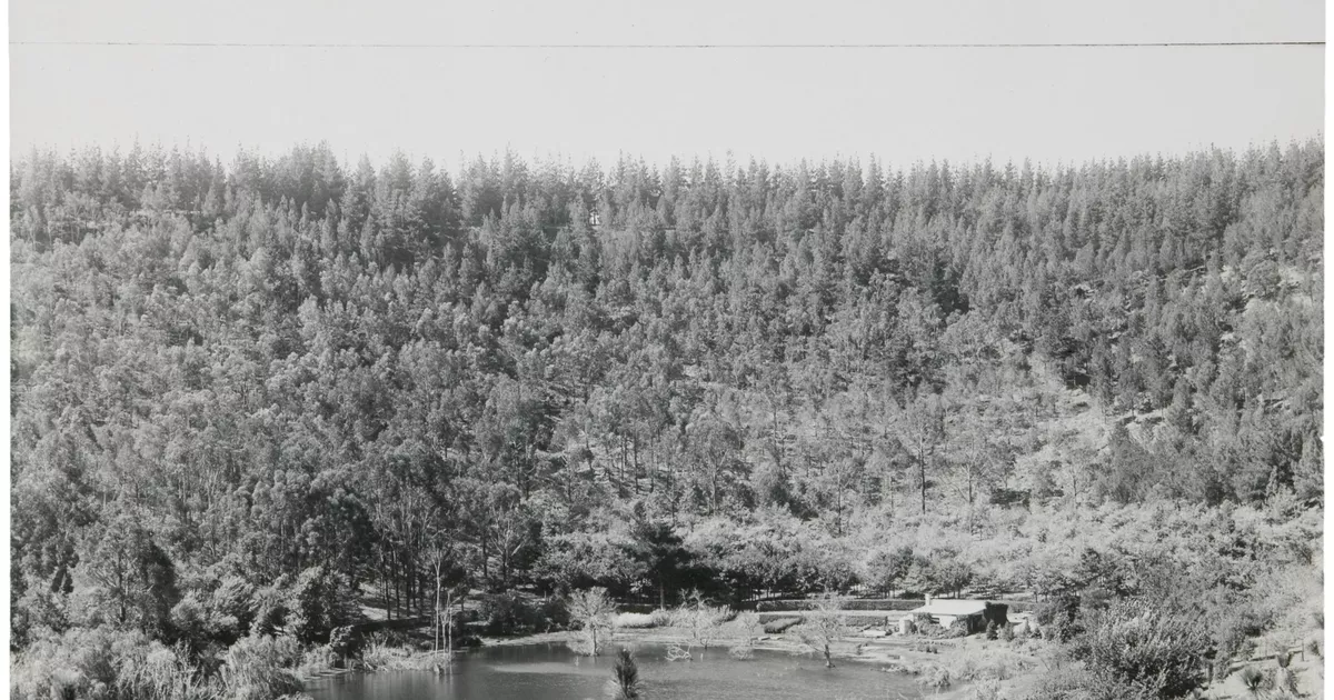 In the Leg of Mutton Lake - AGSA Collection