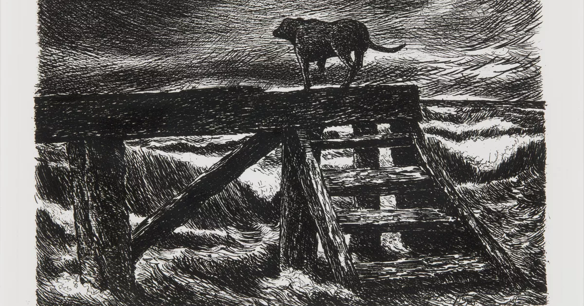 The dog - AGSA Collection