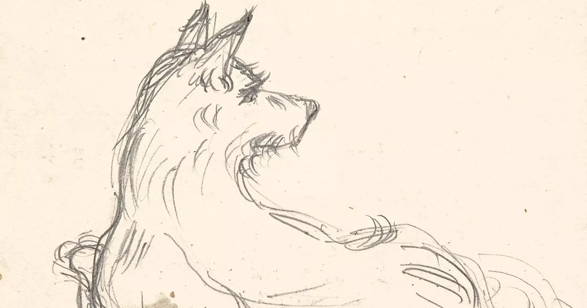 Study of a dog - AGSA Collection