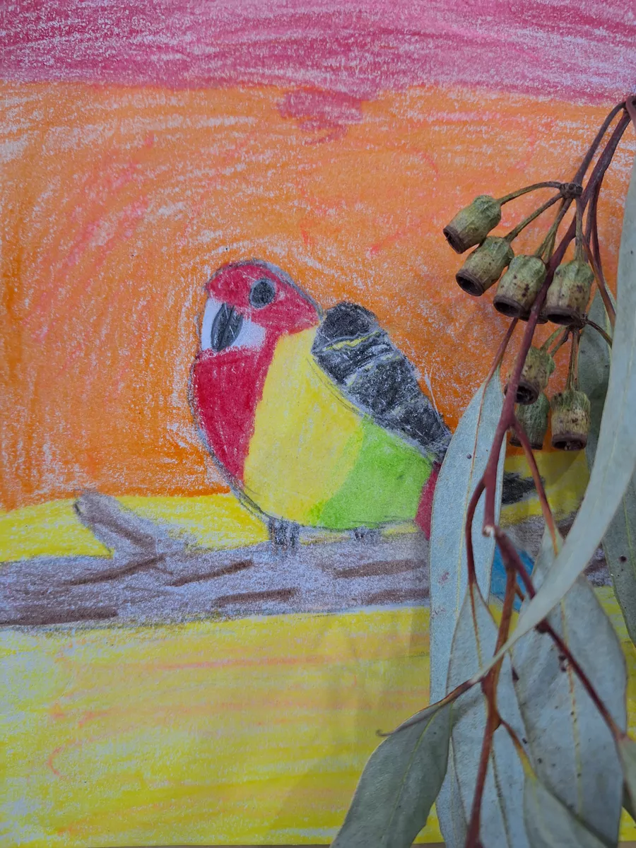 Year 3 & 4 Drawings - Para Vista Primary School - AGSA